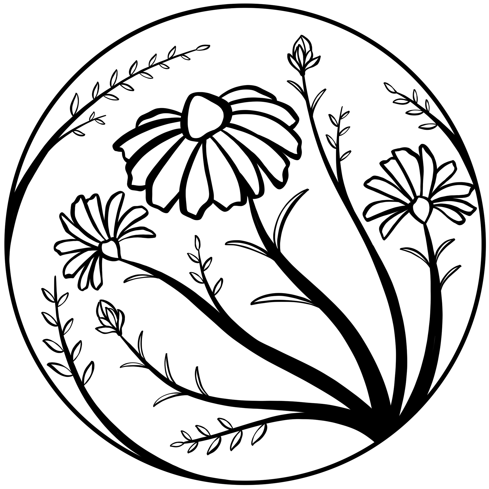 Lusan Skin & Nutrition | Whole Food Skincare | Nutritional Therapy